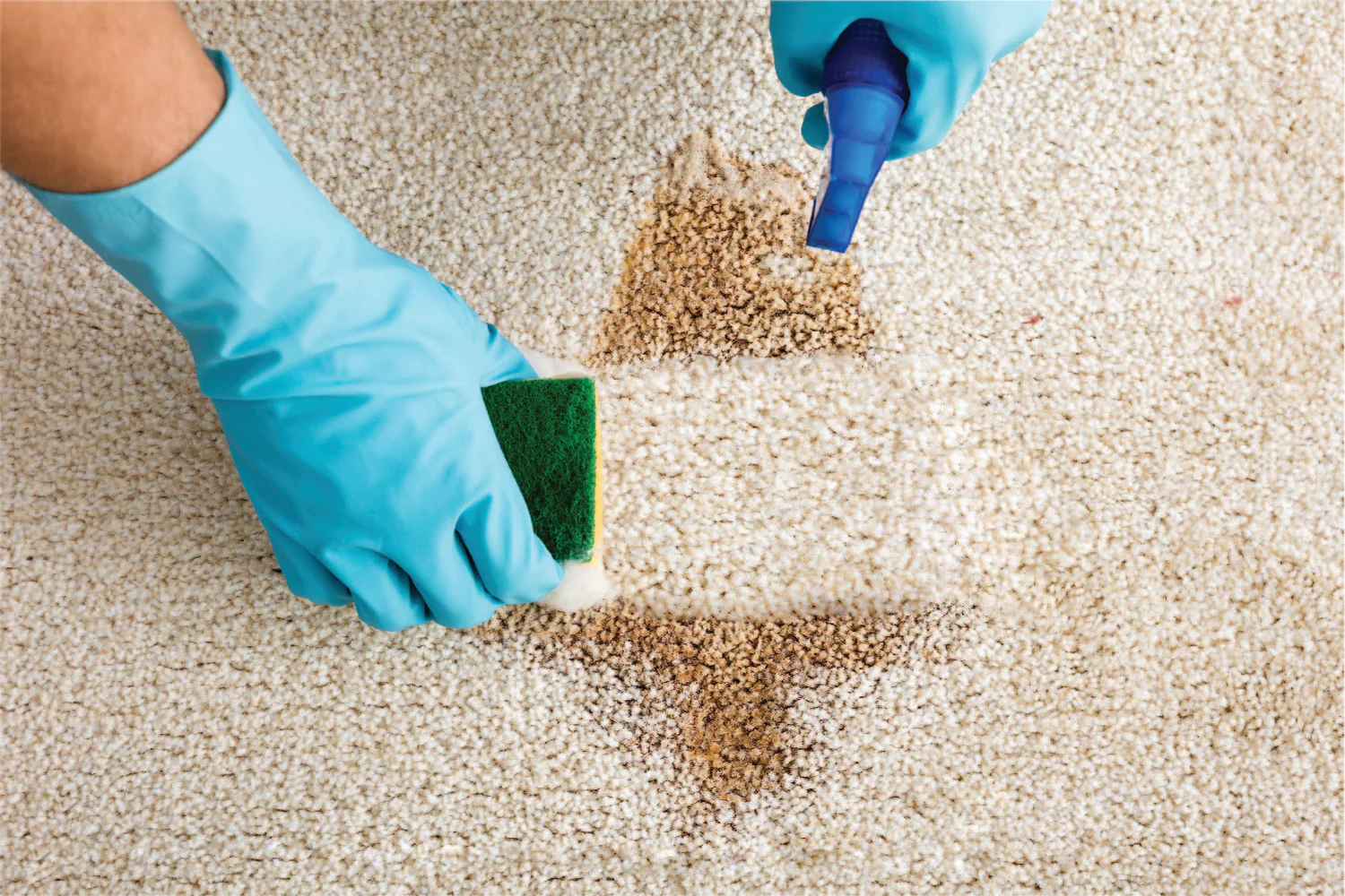 How to Quickly Get Stains Out of Carpet | A southern Light House - Get ...